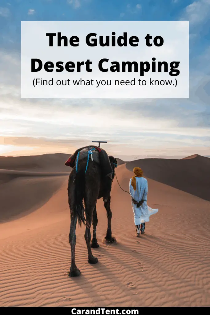 How to Camp in the Desert - 15 Tips to Keep You Safe