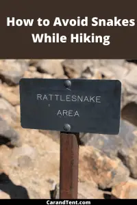 How to Avoid Snakes While Camping and Hiking