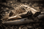How To Start a Fire With Sticks: 3 Ways Plus Tips To Make It Easy